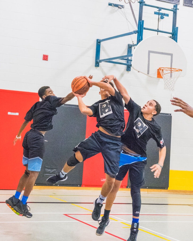 Media - PDM Basketball